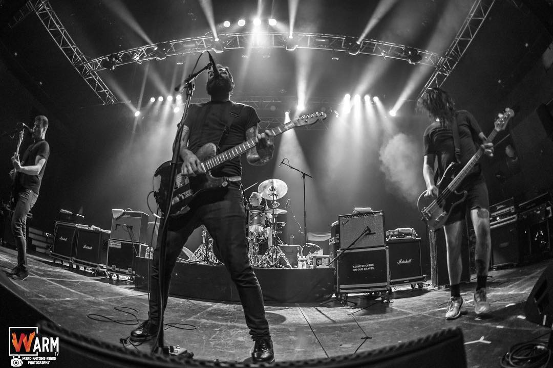 Fiche artiste Not Scientist